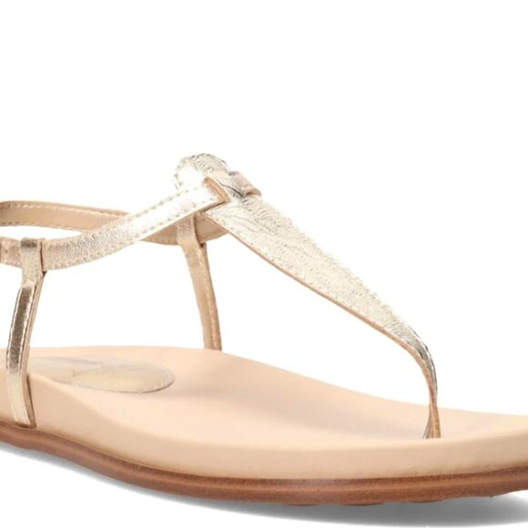 Sam Edelman | Shoes | Sam Edelman Naomi Sandals In Gold Metallic ...